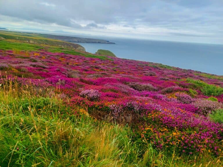 Viking’s British Isles Explorer - Six countries, 15 days, total bliss - TLM