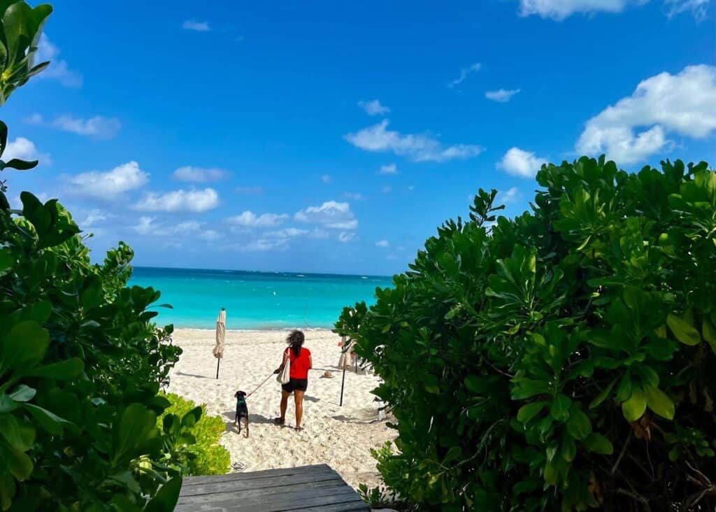 Turks and Caicos: Where To Stay, Eat and Explore in 2025 - TLM