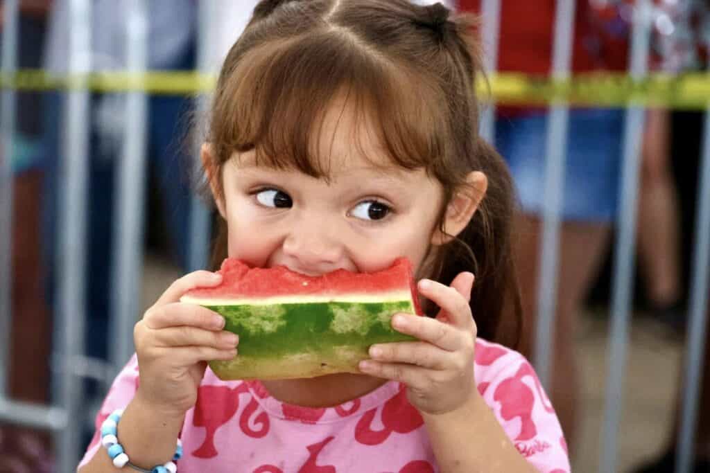 Top Spring Festivals in Texas: Music, Food, and Fun Across the Lone ...