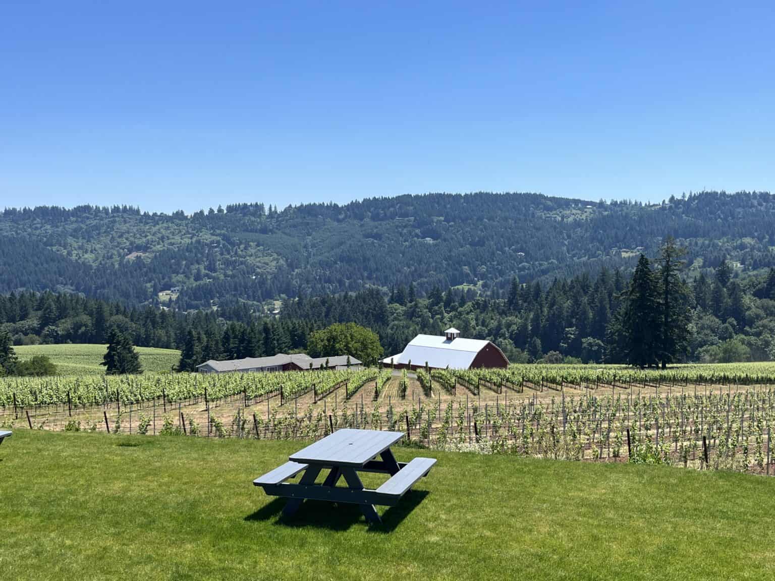 Newberg: The Oregon Escape That Nails Several of 2025’s Top Travel ...
