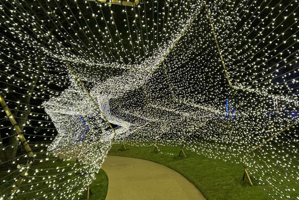 Ice Rodeo at Four Seasons Austin: A Texas Winter Escape - TLM