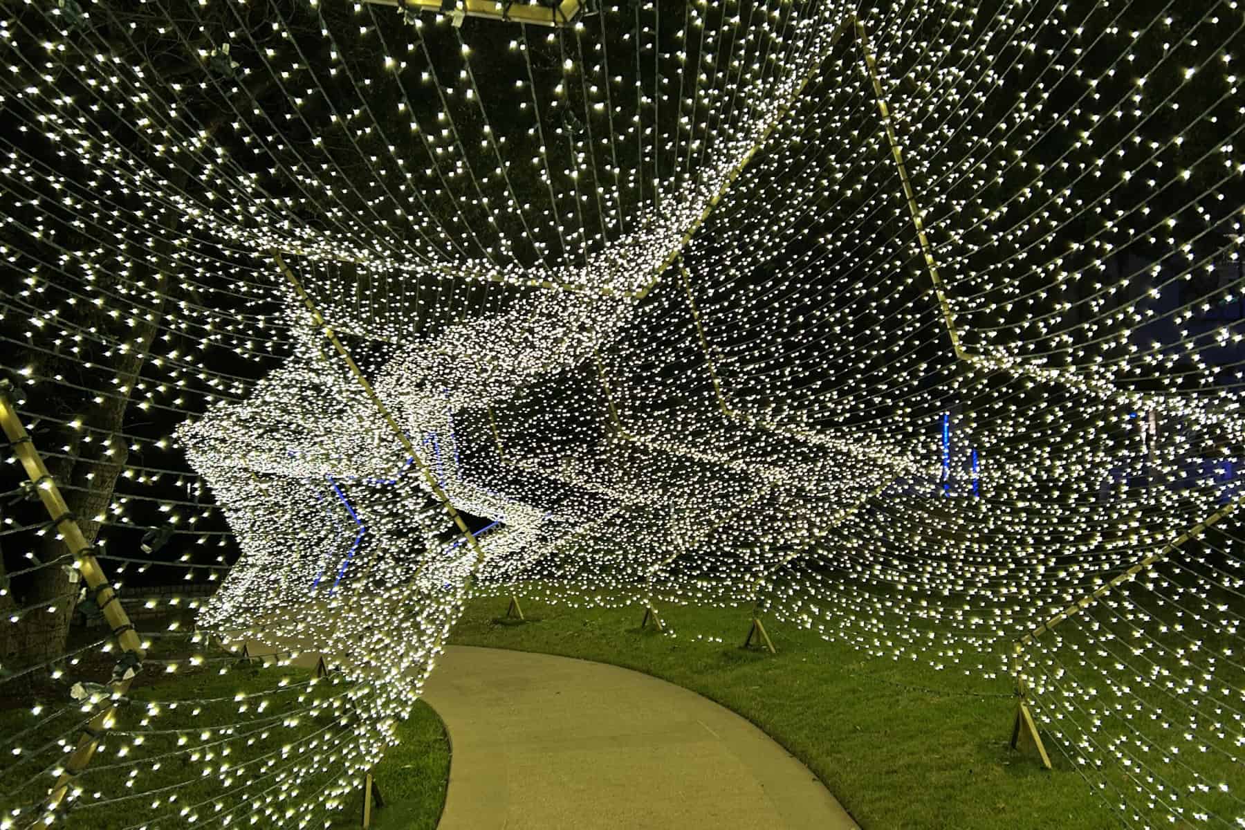 Ice Rodeo at Four Seasons Austin: A Texas Winter Escape - TLM