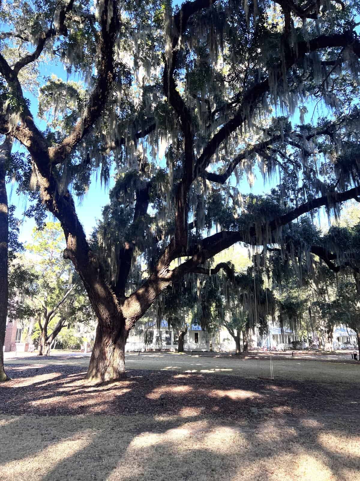 A Post-Holiday Savannah “Mom-cation”: Escaping to Montage Palmetto ...